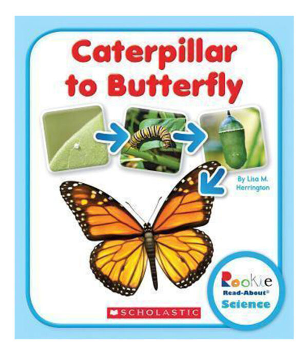 CATERPILLAR TO BUTTERFLY - Librería Española